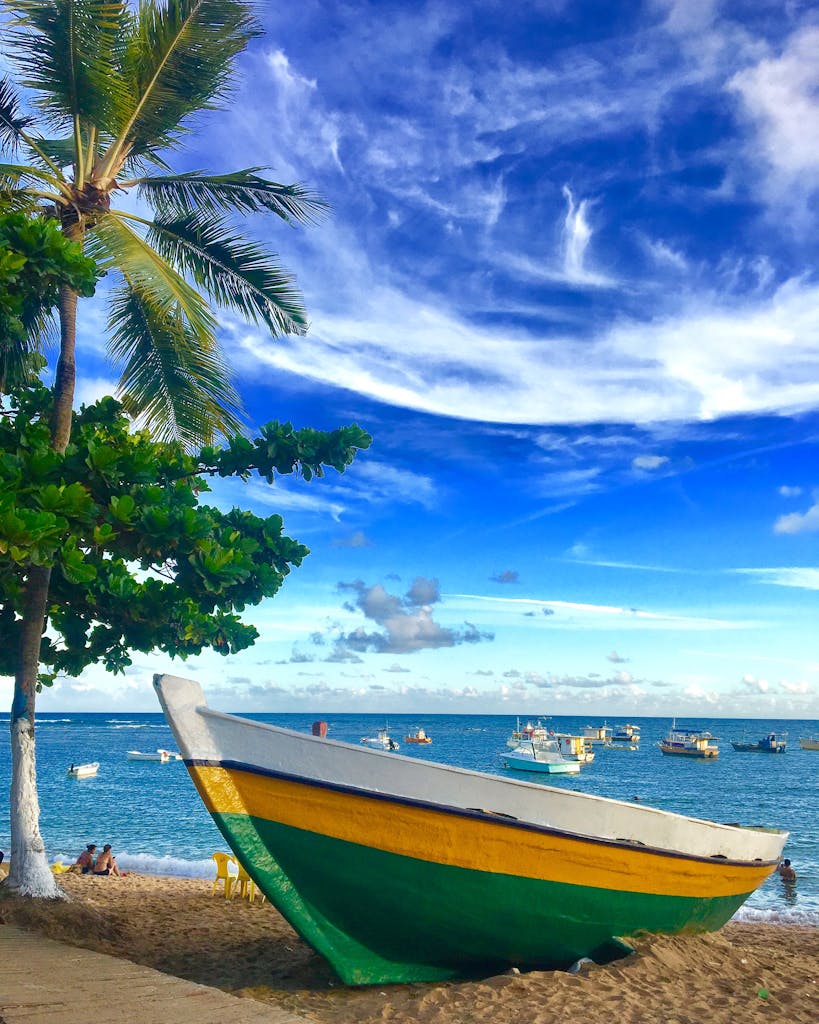 From a Simple Holiday in Brazil to a Mission: How One Traveler is ...